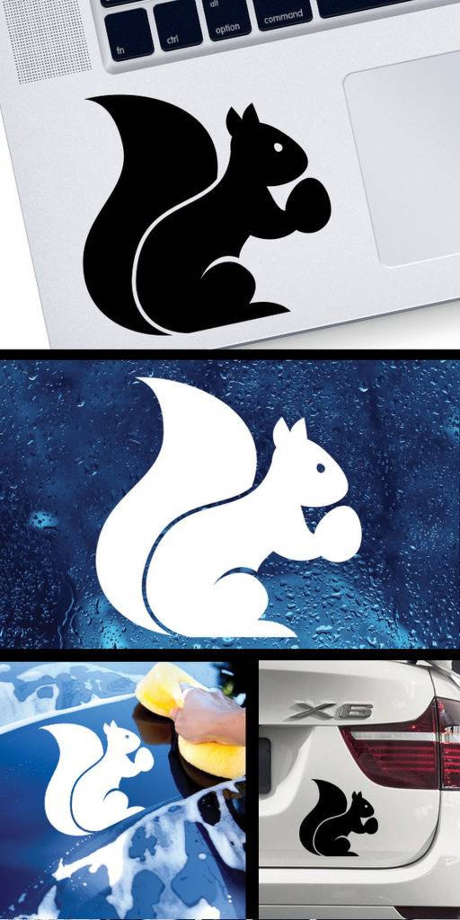 Decal Sticker Squirrel Figure Forest Animal X5252 - Etsy