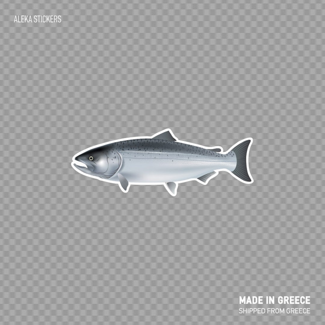 Decal Sticker Salmon Fish Boat Decoration Bait the Hook Fishing Store ...