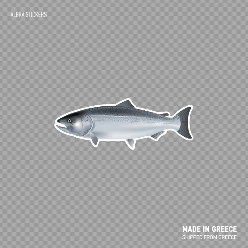 Decal Sticker Salmon Fish Boat Decoration Bait the Hook | Etsy