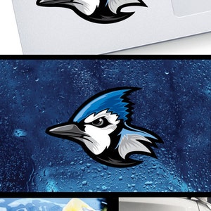 Decal Sticker Blue Jay Aloha Full Color Freedom Passerine Bird W9997 - Etsy