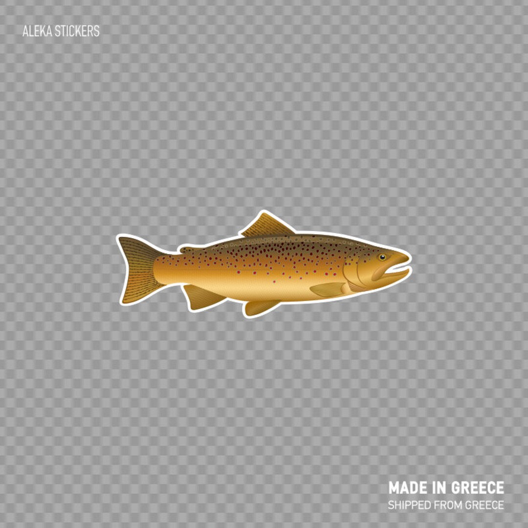 Decal Sticker Brown Trout Boat Decoration Bait the Hook Fishing Store ...