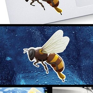 Decal Sticker Bee, Hornet, Wasp, Vespa Honey Insect Store Decoration ...