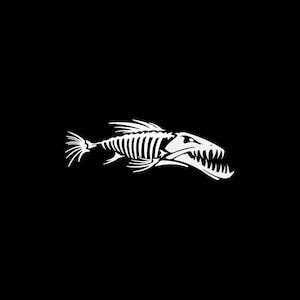 Decal Sticker Fish Bones Skull Skeleton Fishing Boat Bait the Hook ...
