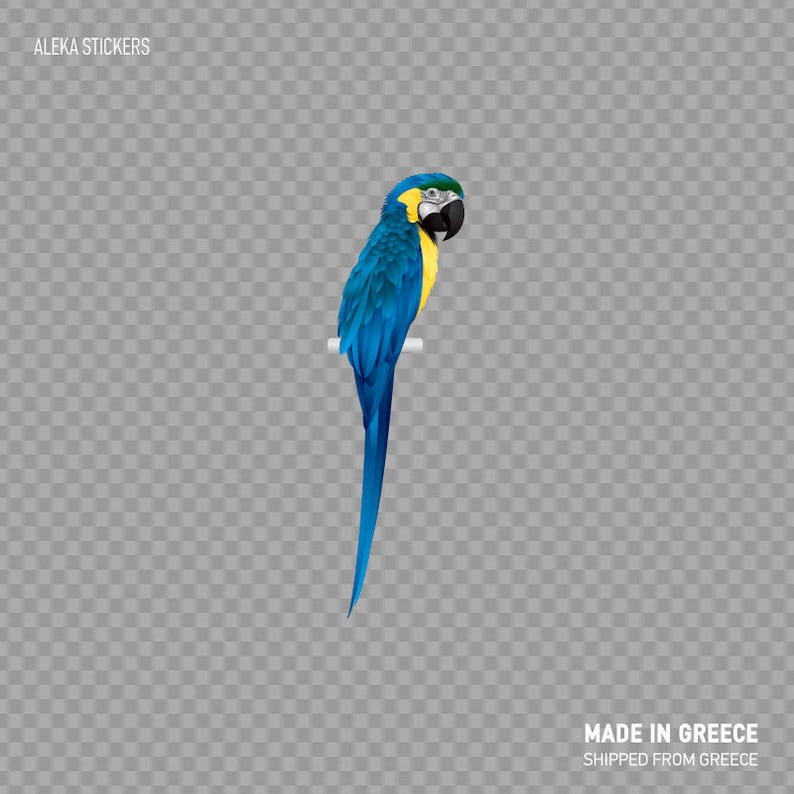 Decal Sticker Parrot Aloha Bird Caribbean Full Color Macaw Tropical ...