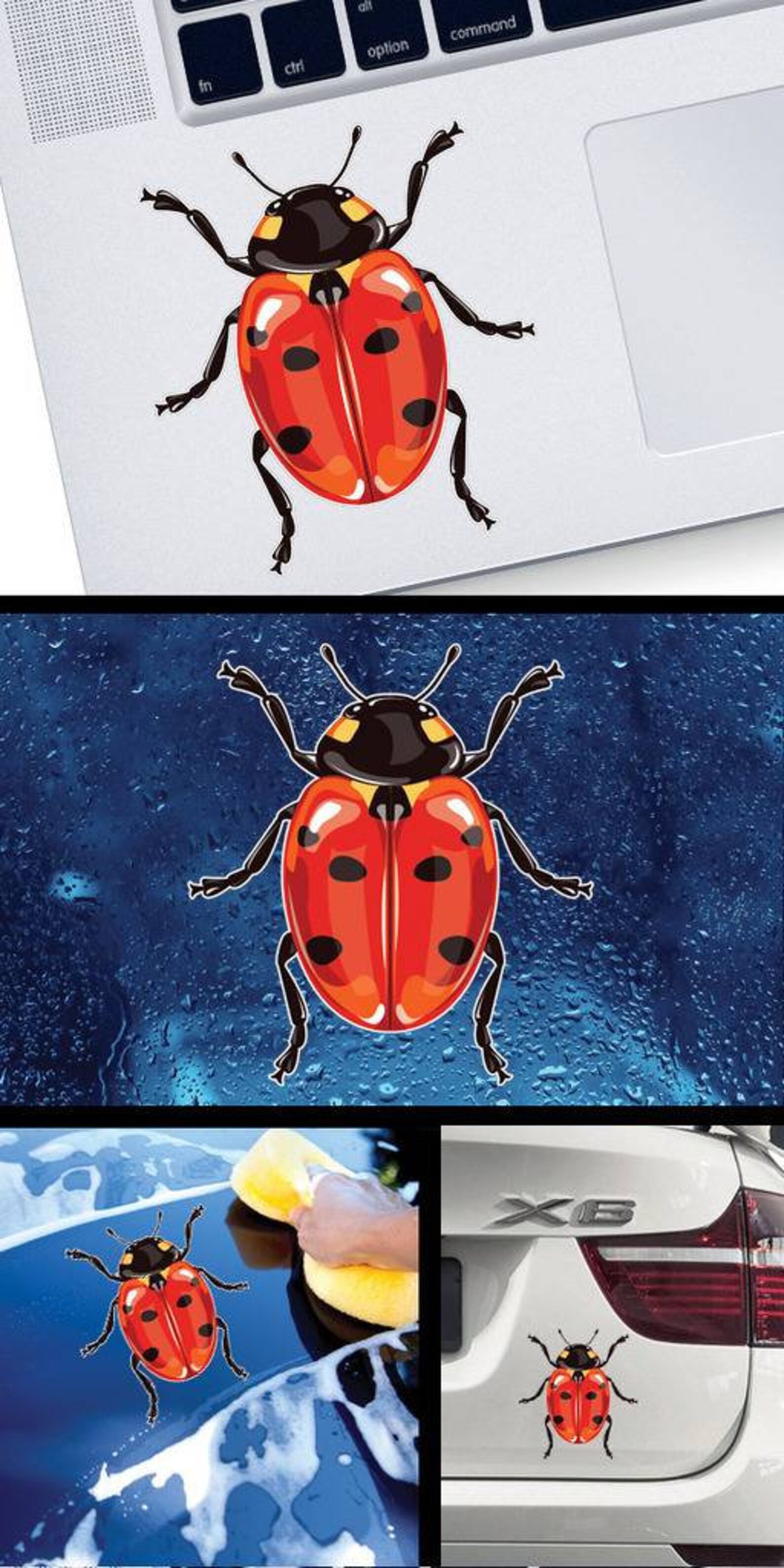 Decal Sticker Ladybug Cartoon Illustration Vivid Colors Red - Etsy