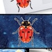 Decal Sticker Ladybug Cartoon Illustration Vivid Colors Red Black ...