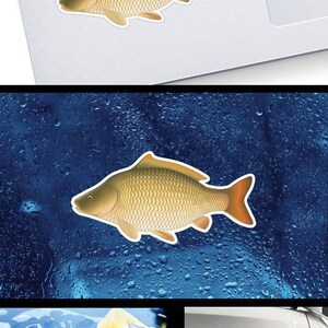 Decal Sticker Carp Fish Fishing Fisherman Lake River Freshwater Fishing ...