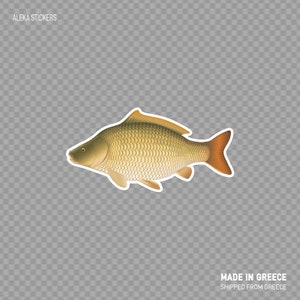 Decal Sticker Carp Fish Fishing Fisherman Lake River Freshwater Fishing ...