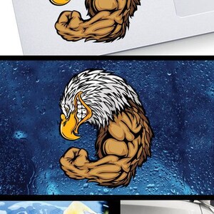 Decal Sticker Bald Eagle Bodybuilder America Force Freedom Military Gym ...