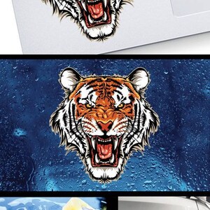 Decal Sticker Angry Tiger Head Harmful Aggression Open Mouth Wild Ilfe ...