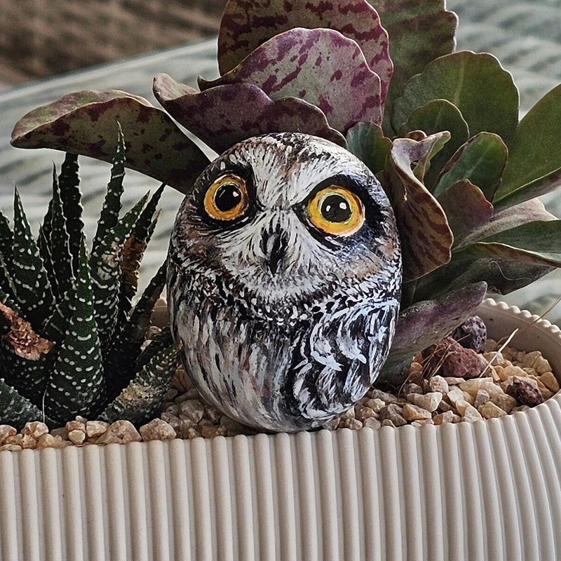Painted Rock Owl - Etsy