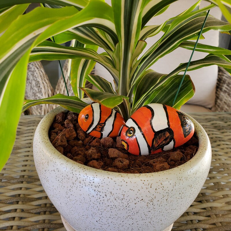 Fish Painted Rocks - Etsy