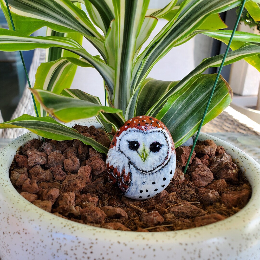 Little Barn Owl Hand Painted Pebble, Amulet Owl Rock, Plant Pot ...