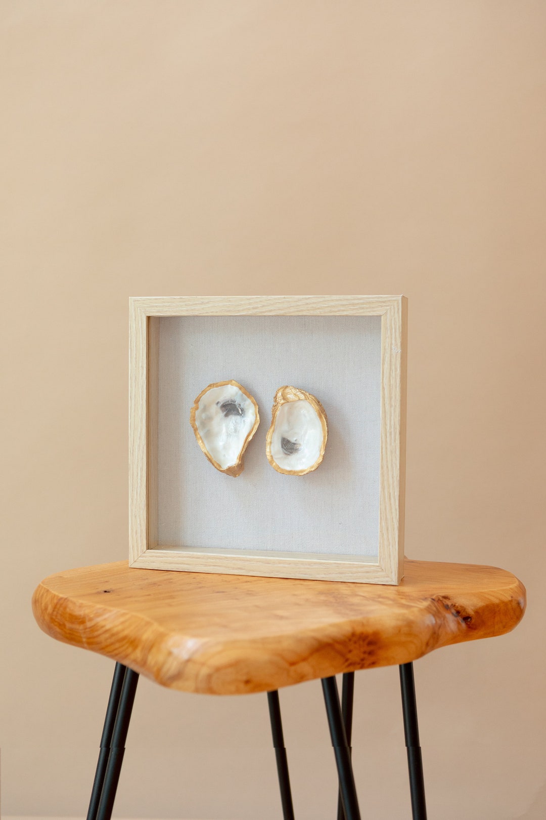 Oyster Shell Shadow Box (2 Oysters) - Etsy