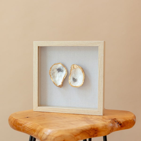 Shell Shadow Box - Etsy