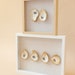 Oyster Shell Shadow Box (4 Oysters) - Etsy