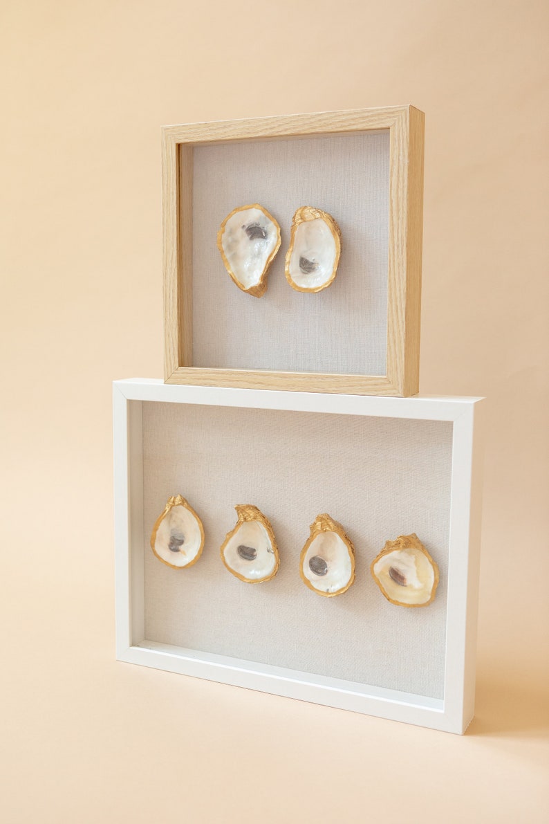 Oyster Shell Shadow Box (4 Oysters) - Etsy