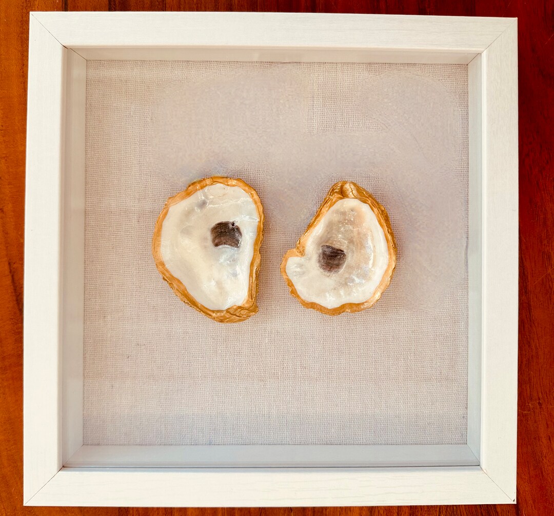 Oyster Shell Shadow Box 2 Oysters - Etsy