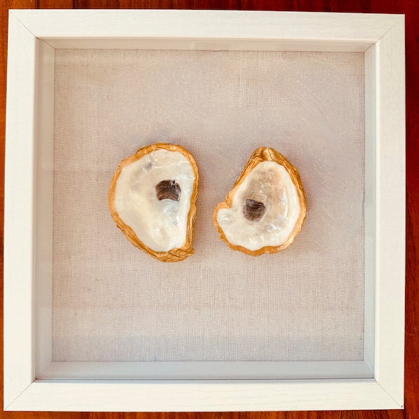 Shell Shadow Box - Etsy