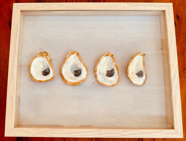 Oyster Shell Shadow Box 4 Oysters - Etsy