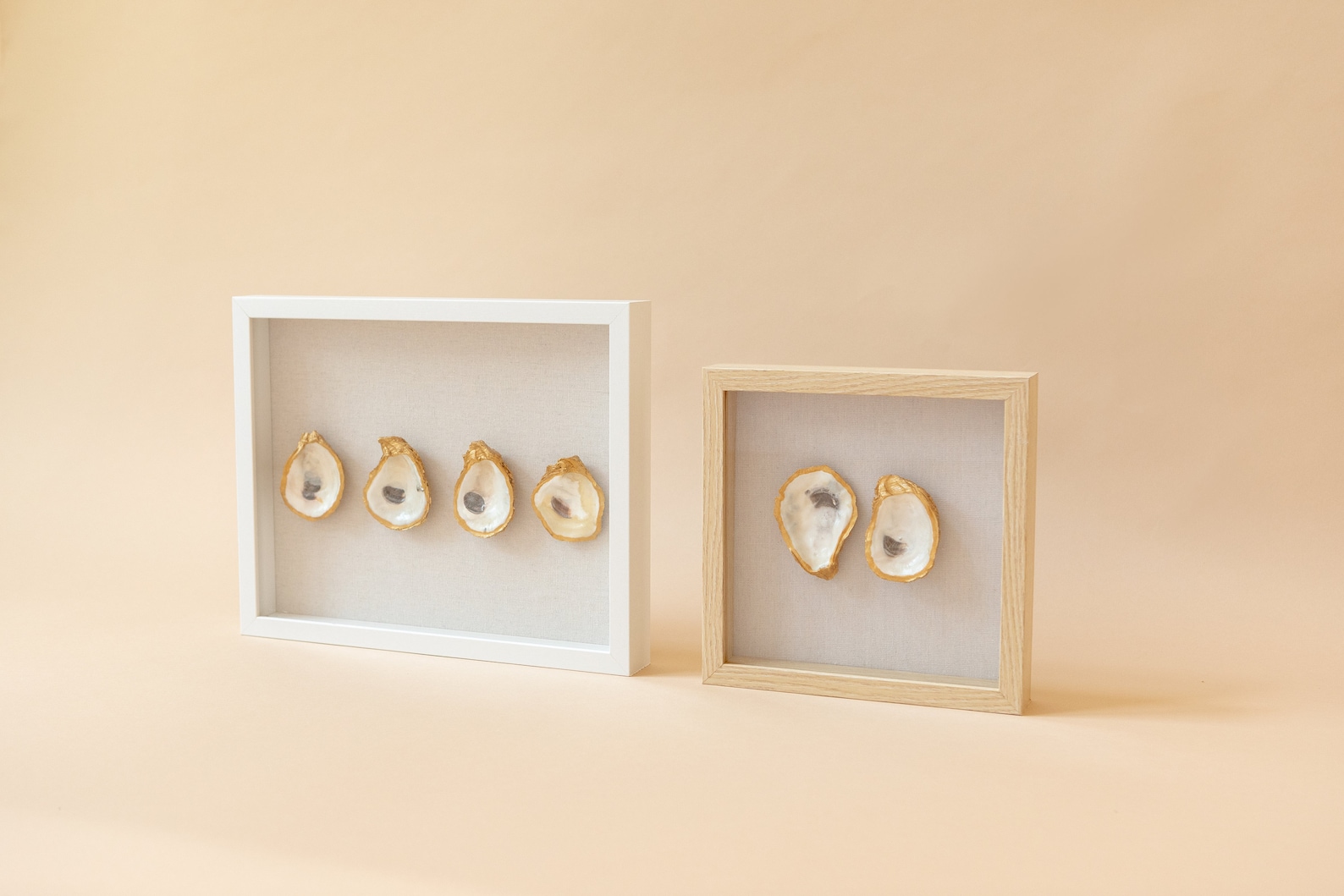 Oyster Shell Shadow Box (4 Oysters) - Etsy