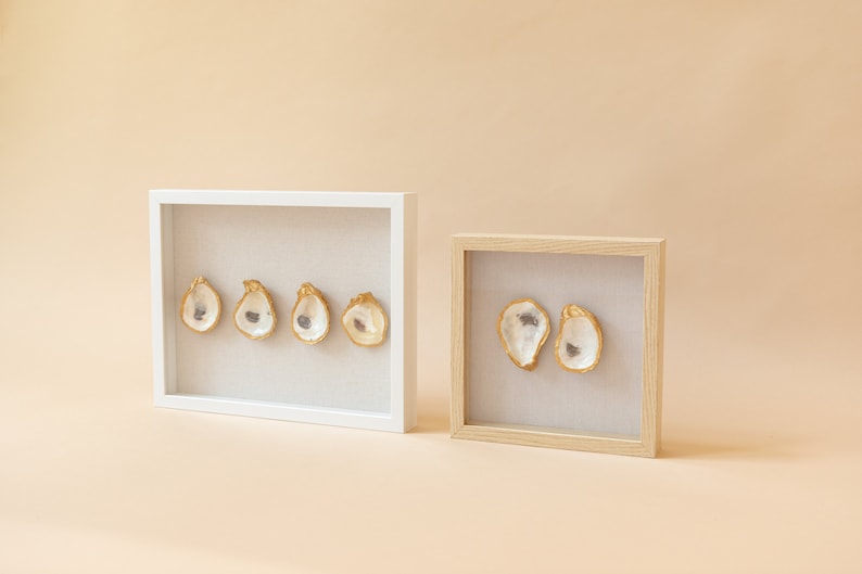 Oyster Shell Shadow Box (4 Oysters) - Etsy