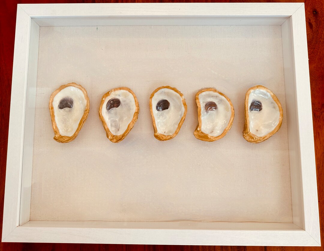 Oyster Shell Shadow Box (6 Oysters) - Etsy