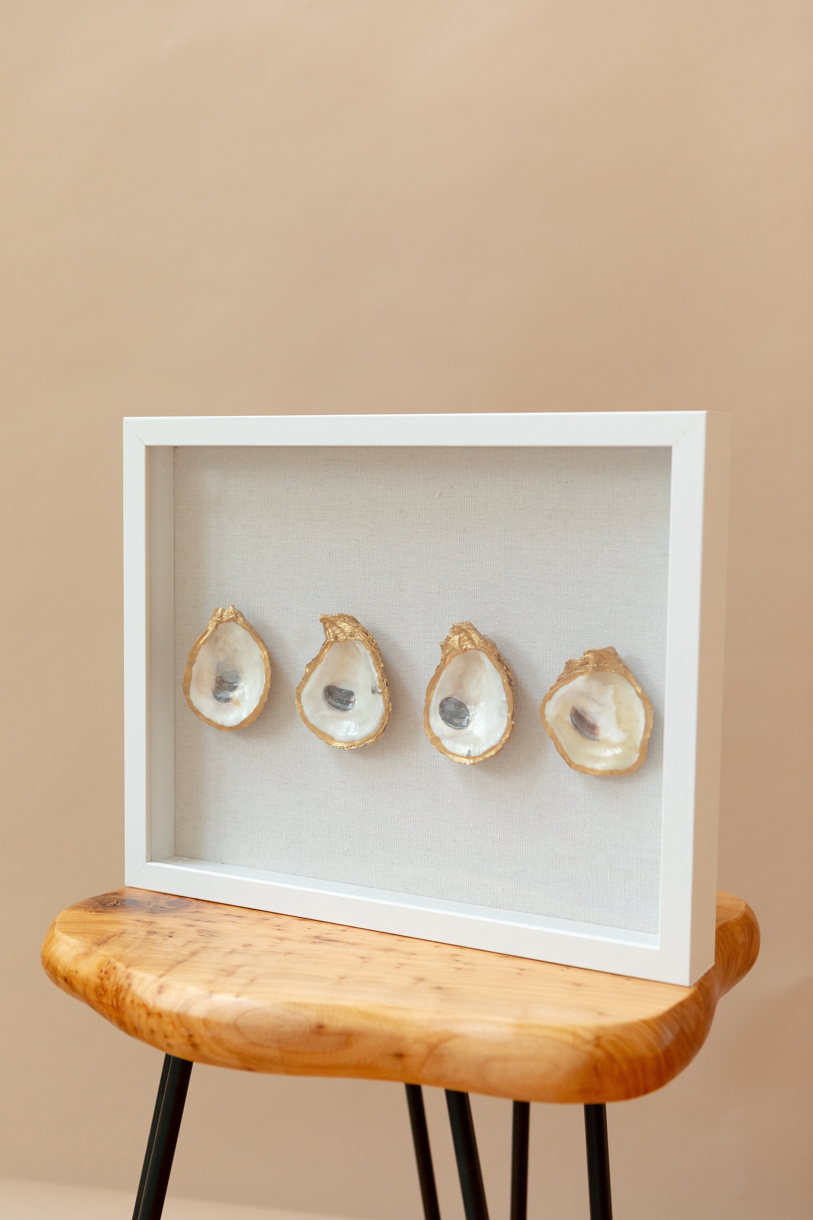 Oyster Shell Shadow Box (4 Oysters) - Etsy