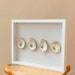 Oyster Shell Shadow Box (4 Oysters) - Etsy