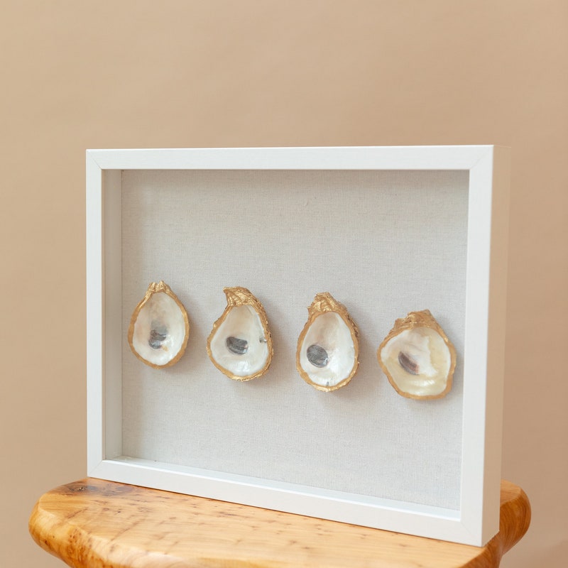 Shell Shadow Box - Etsy