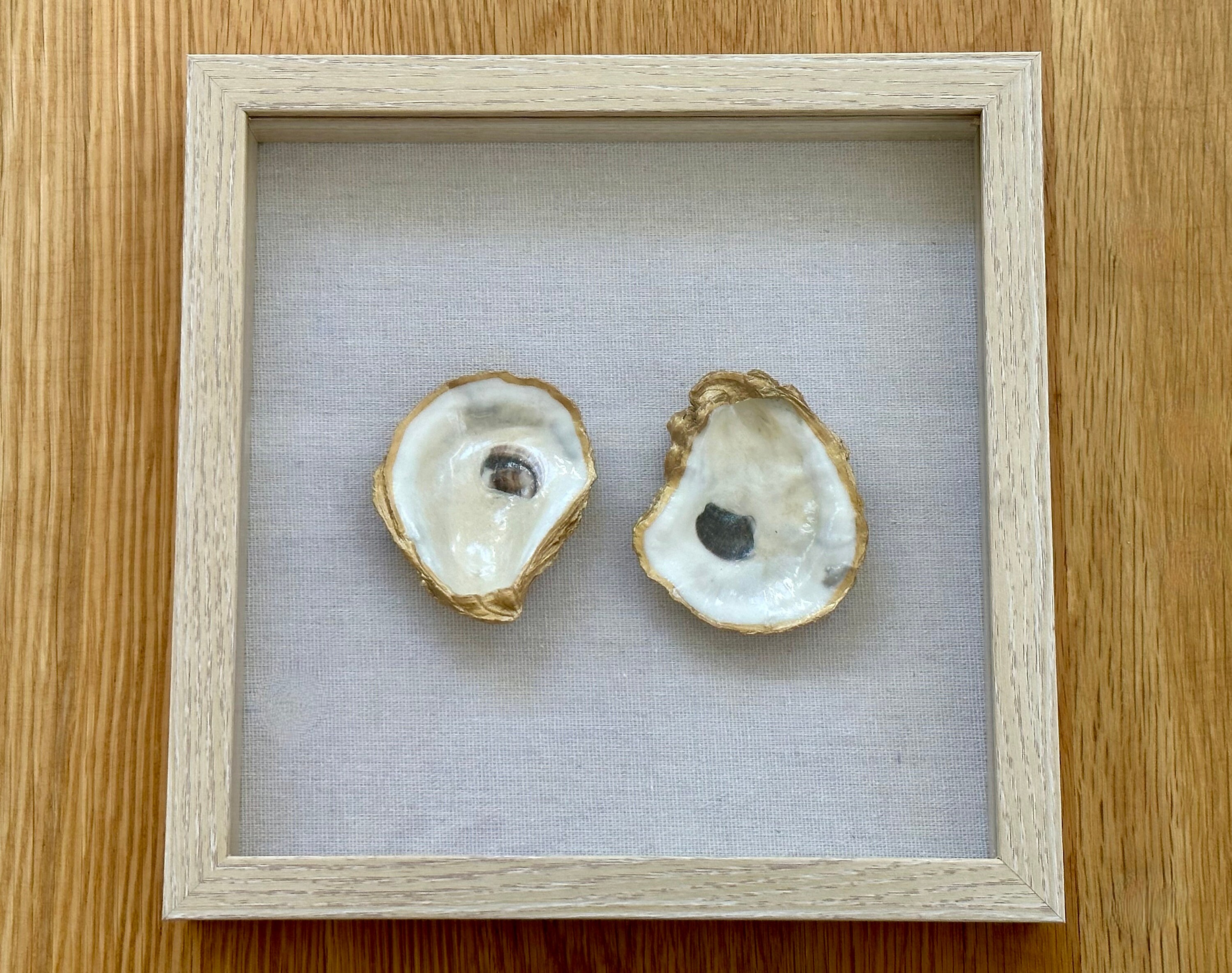 Oyster Shell Shadow Box 2 Oysters - Etsy