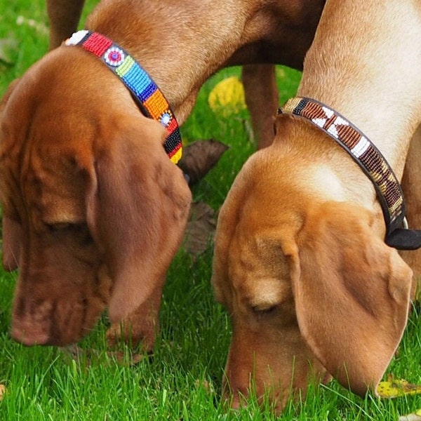 Poodle Dog Collar - Etsy