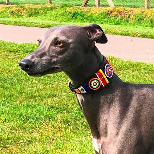 Beaded Leather Lurcher Dog Collars Neck Size 13-15 - Etsy