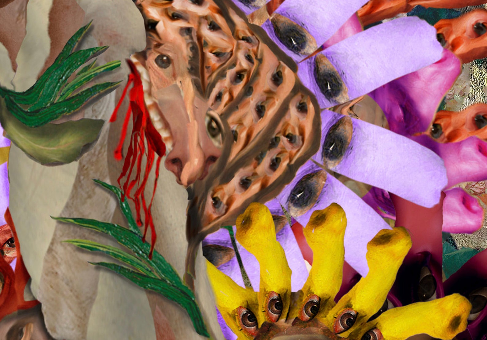 Hungry Flowers 2024 Open Edition Print - Etsy