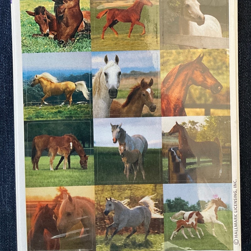 Horse Sheets - Etsy