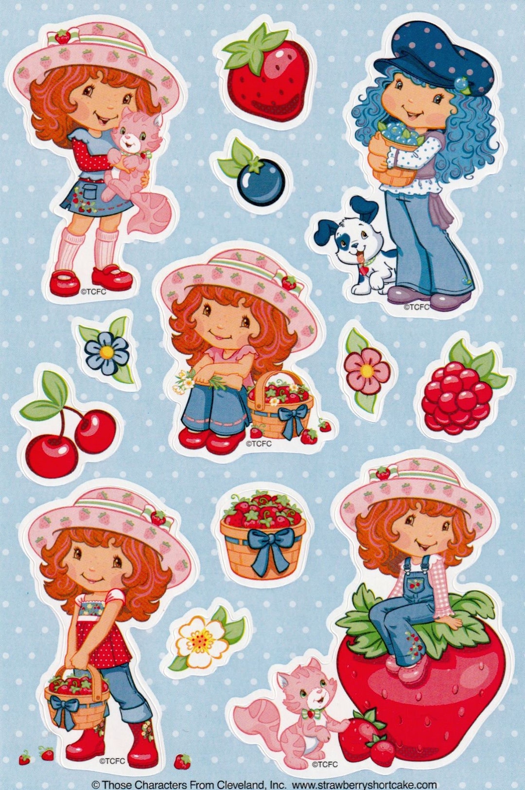 Vintage Strawberry Shortcake Sticker Sheet, 1980s Inspired, Blueberry ...