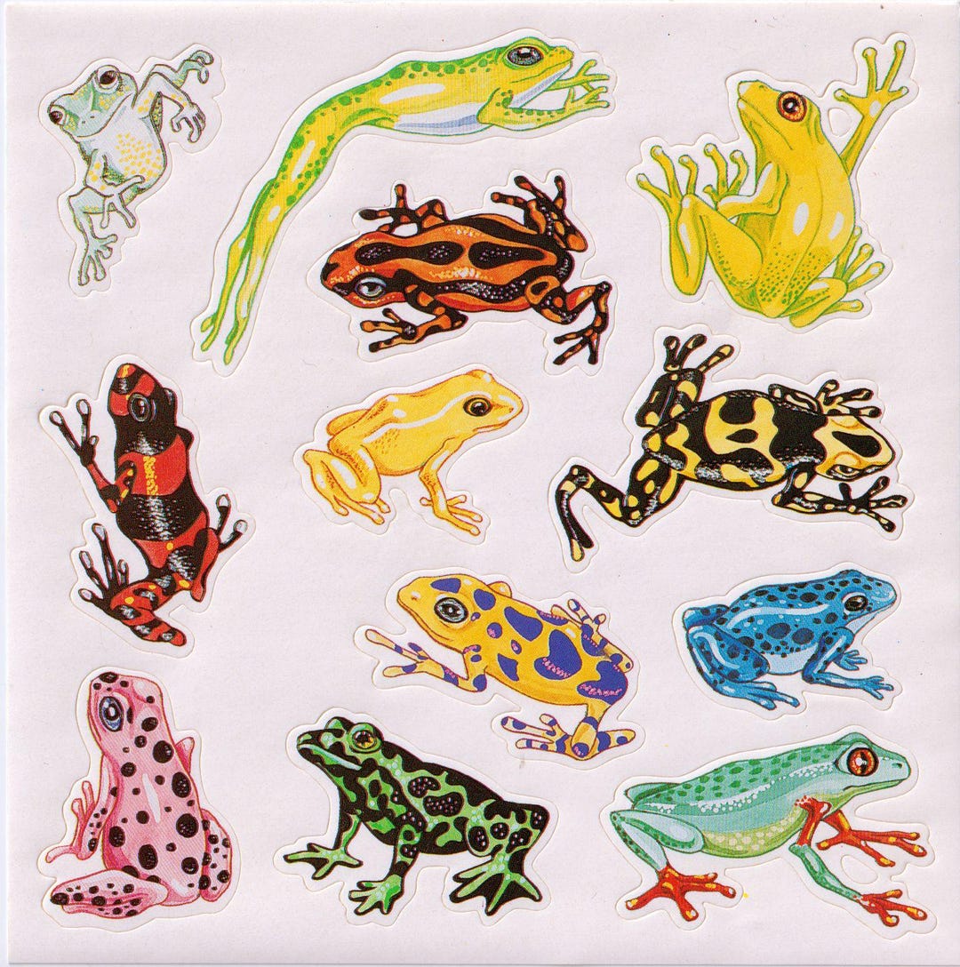 Vintage 1980s 1990s 2000s Various Types of Tree Frogs, Colorful ...