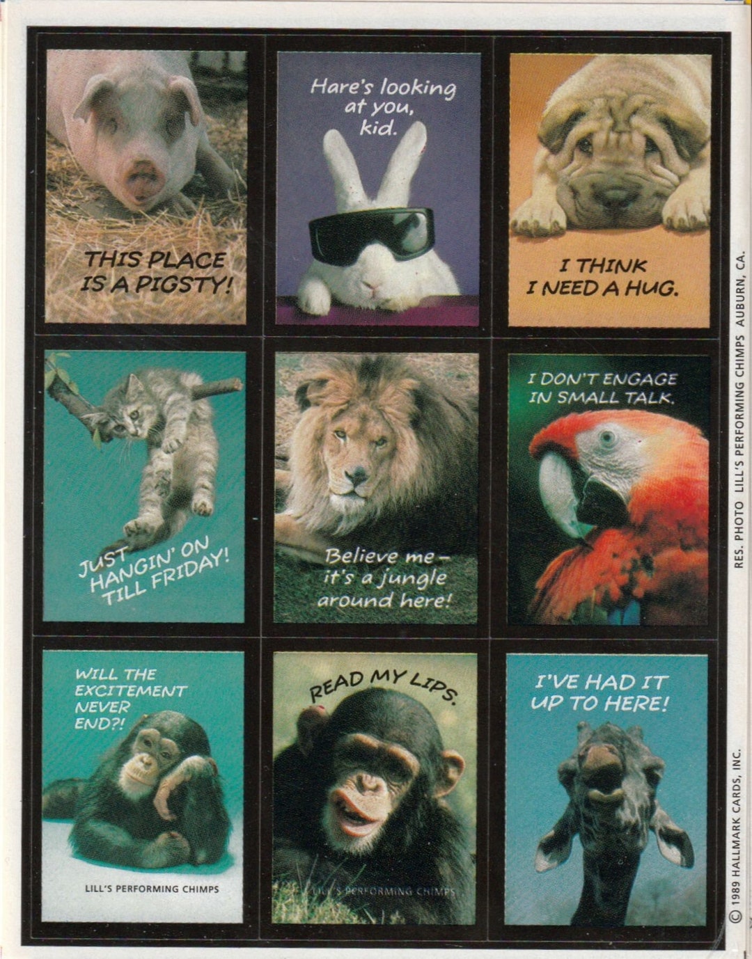 Vintage 1980s 1990s 2000s Hallmark Puns Sticker Sheet, Realistic Photos ...