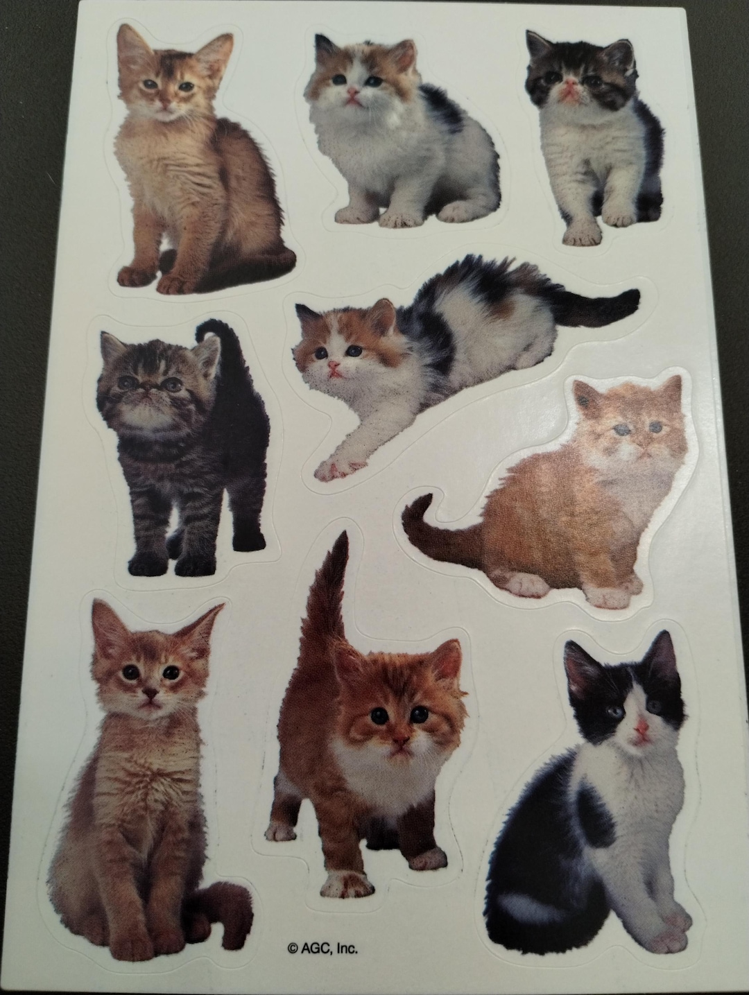 Vintage 1980s 1990s Various Kitty Cat Breeds Single (1) Sticker Sheet ...