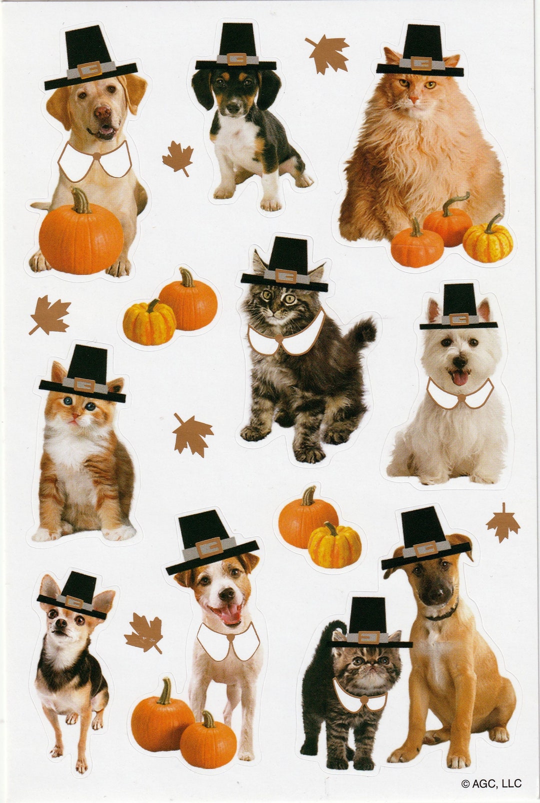 American Greetings Sticker Sheet, Super Cute Cats and Dogs Dressed for ...