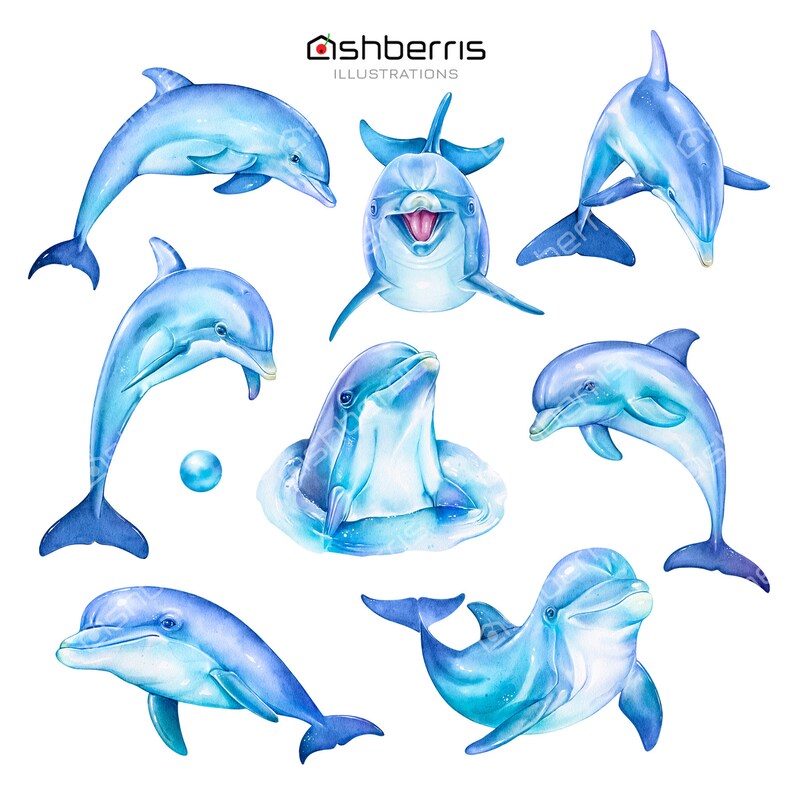 Watercolor Dolphins Clipart Digital Painting Dolphin PNG Sea - Etsy