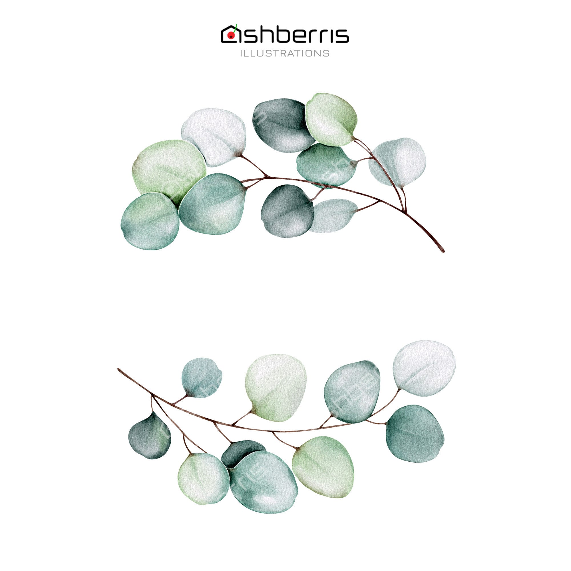 Eucalyptus Leaves Clipart Eucalyptus Clip Art Eucalyptus - Etsy