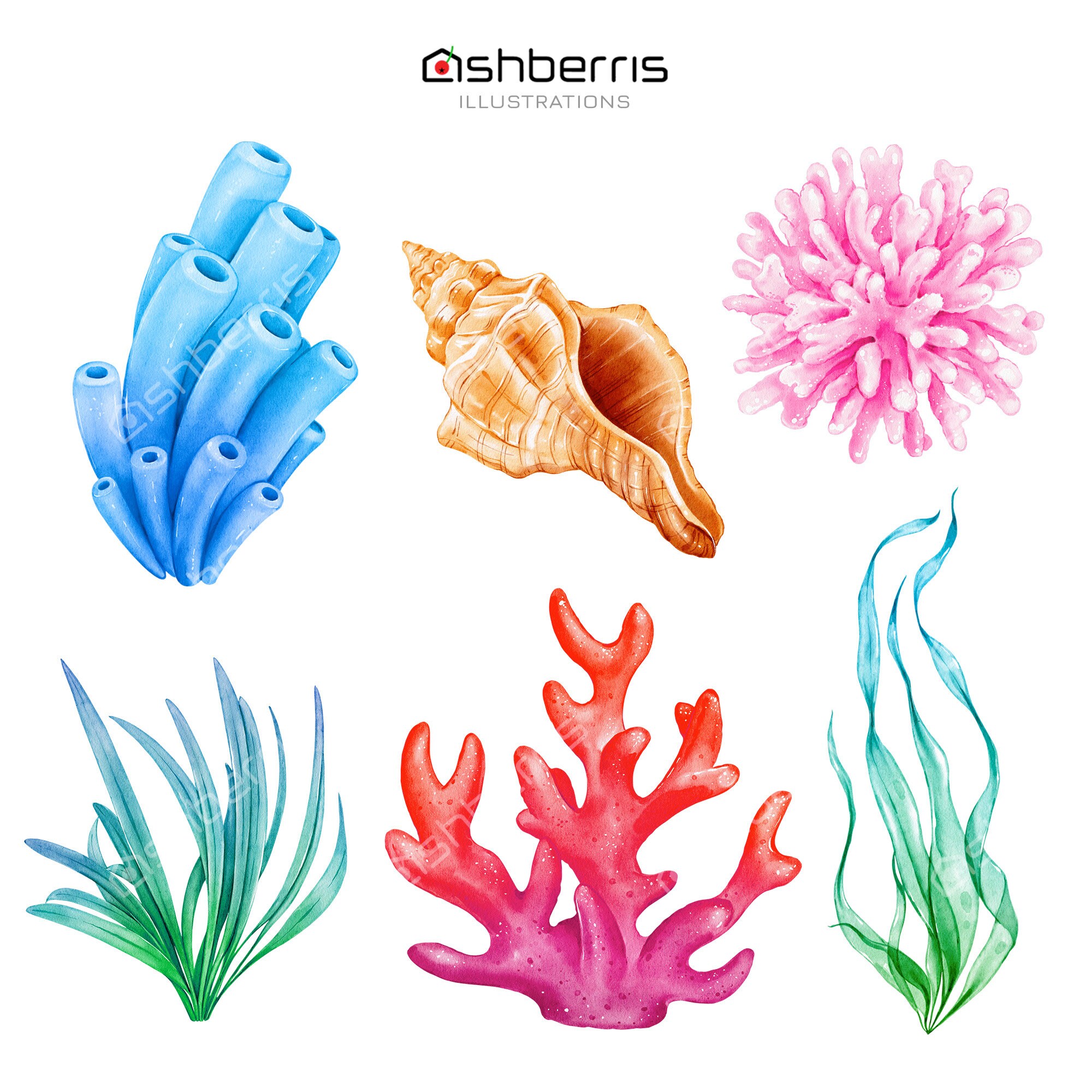 Watercolor Dolphins Clipart Digital Painting Dolphin PNG Sea - Etsy