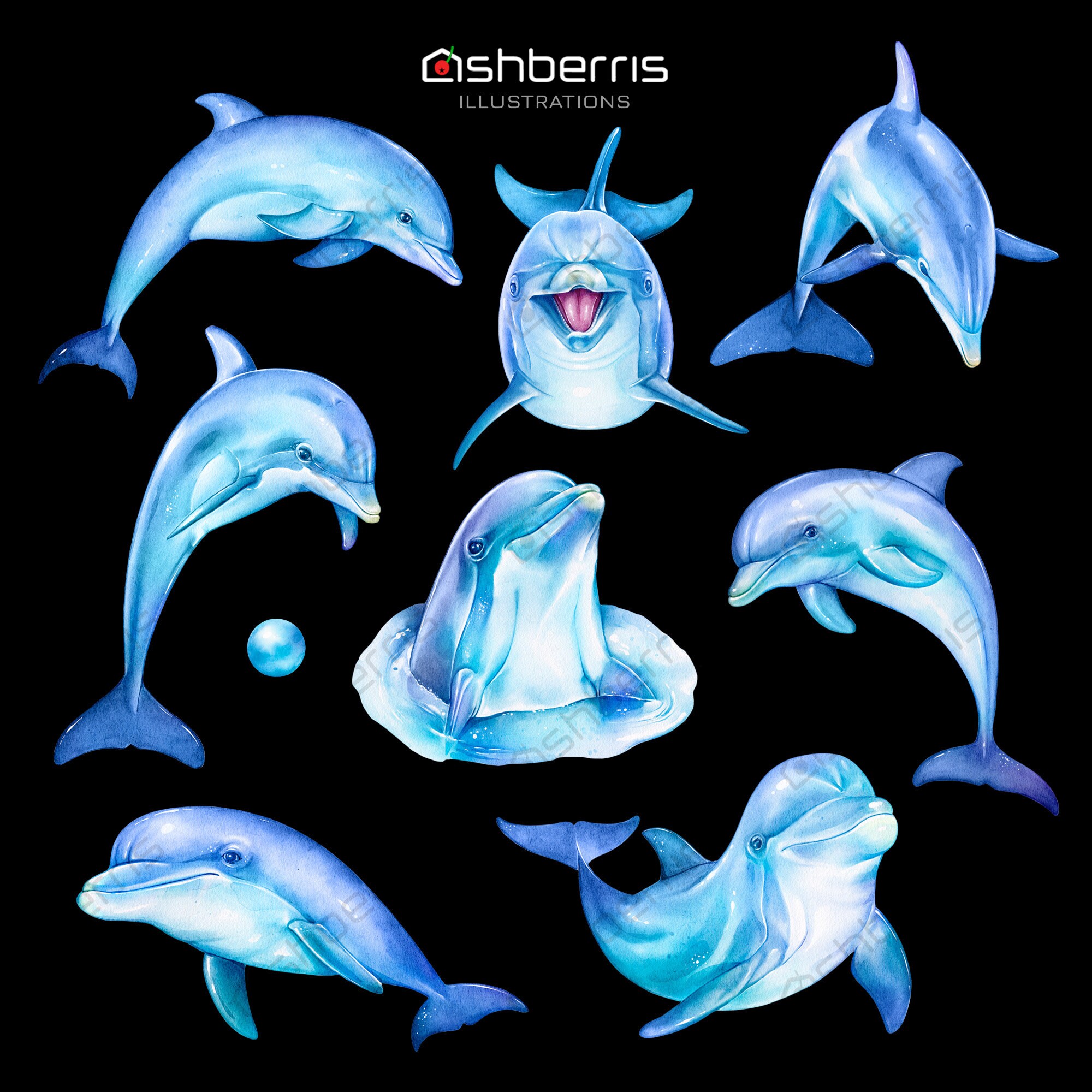 Watercolor Dolphins Clipart Digital Painting Dolphin PNG Sea - Etsy