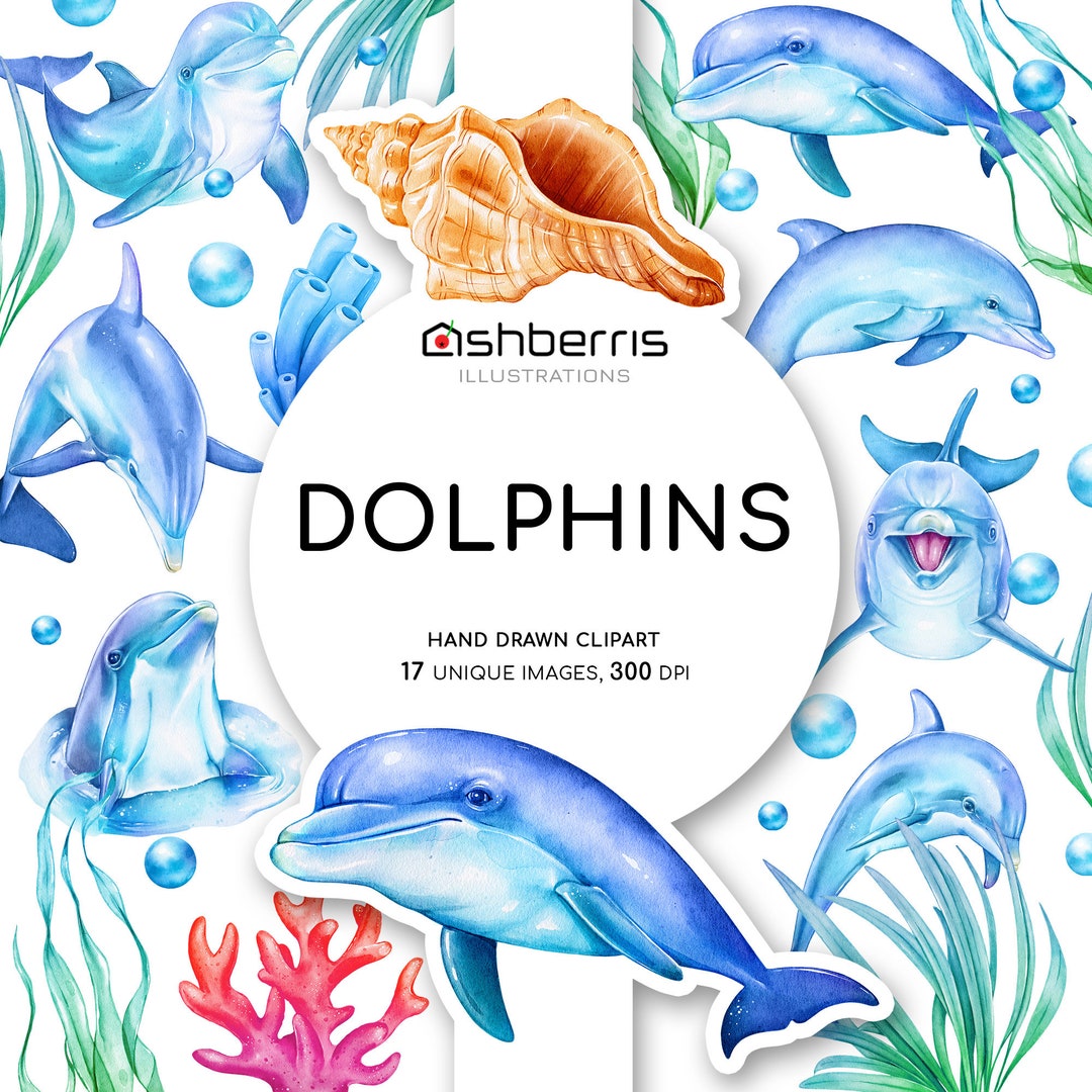 Watercolor Dolphins Clipart, Digital Painting Dolphin PNG, Sea Animals ...