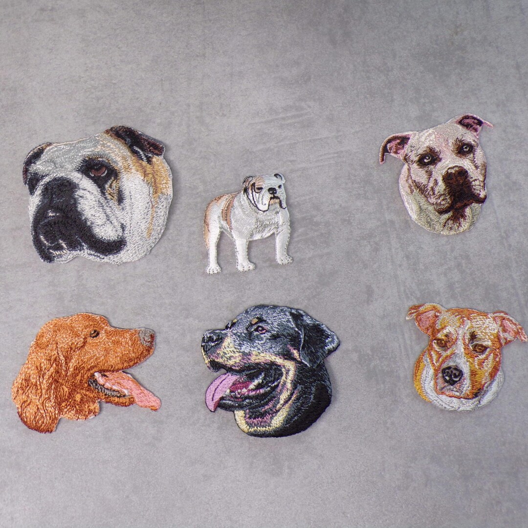 Bulldog Staffordshire Bull Terrier Rotweiler Irish Setter Dogs ...