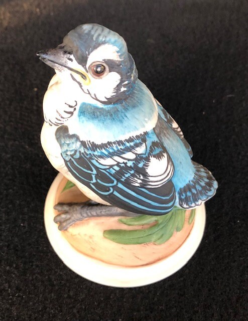 Boehm Vintage Baby Blue Jay where's Ma 436 Signed Bisque Porcelain - Etsy