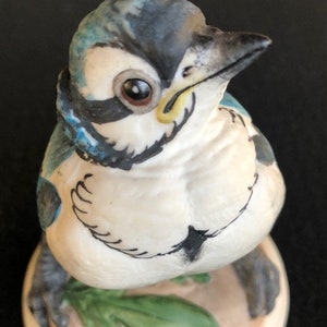 Boehm Vintage Baby Blue Jay "where's Ma" # 436 Signed Bisque Porcelain ...