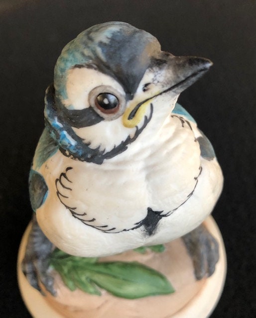 Boehm Vintage Baby Blue Jay where's Ma 436 Signed Bisque Porcelain - Etsy