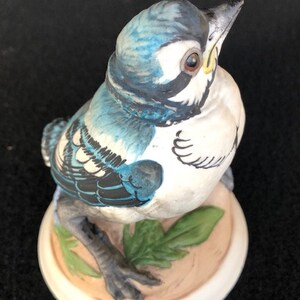 Boehm Vintage Baby Blue Jay "where's Ma" # 436 Signed Bisque Porcelain ...
